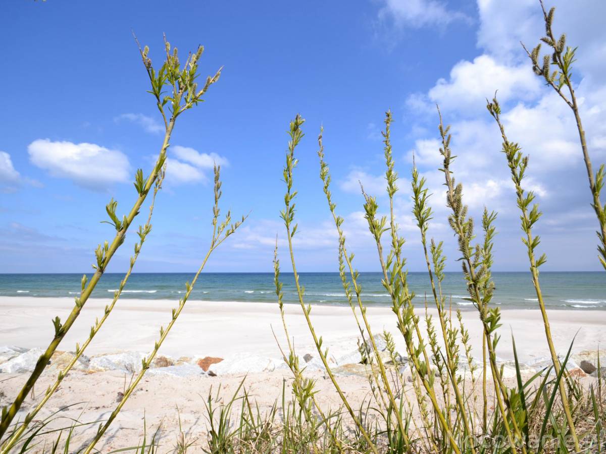 Jakie kwatery w Karwi polecają turyści?