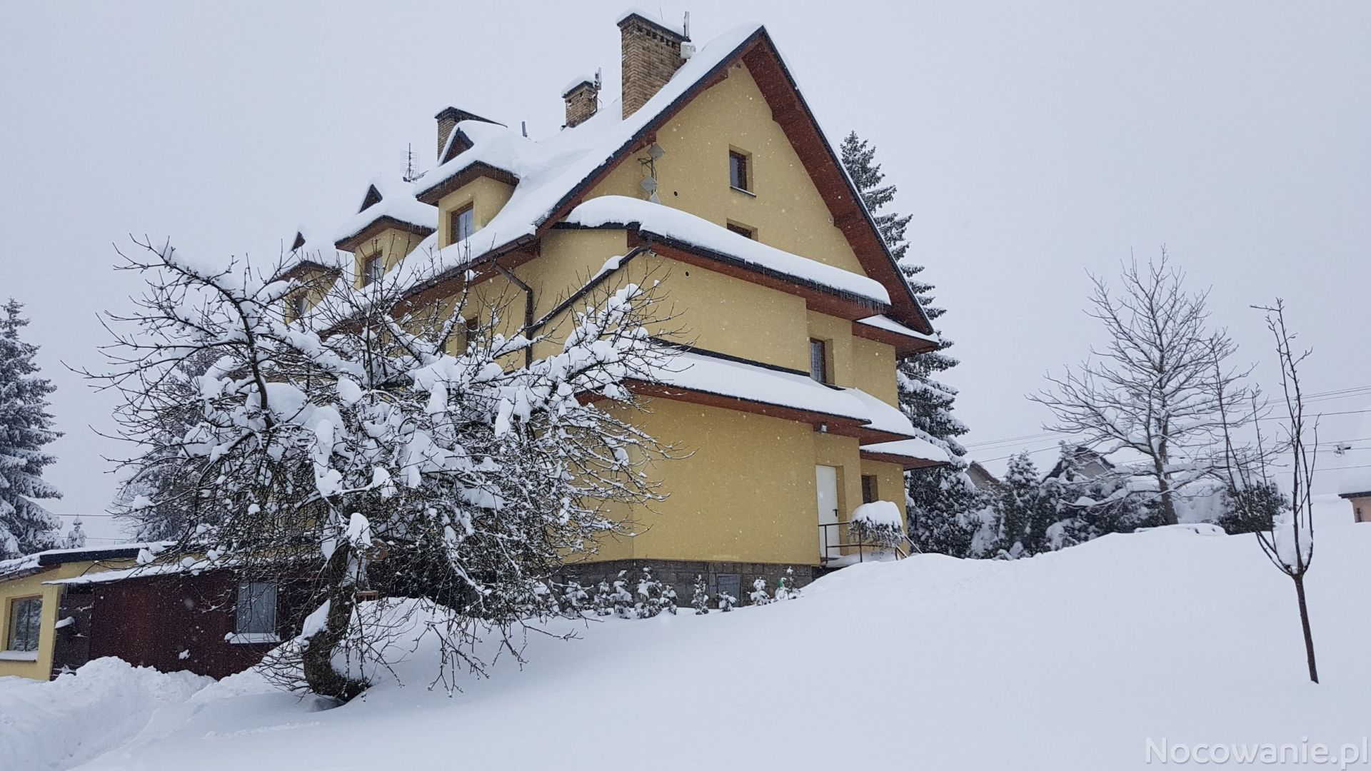 Dom Wczasowy Olza Istebna, Dom Wczasowy Olza w Istebnej