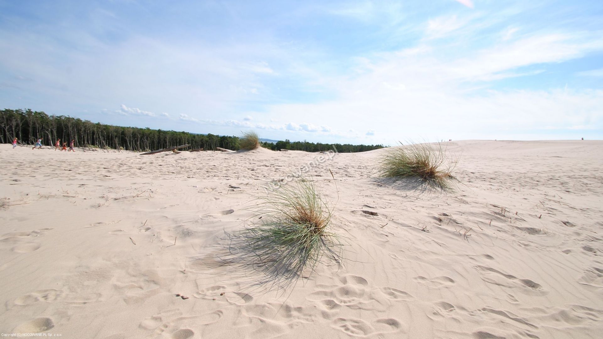 Ruchome Wydmy w Łebie Łeba