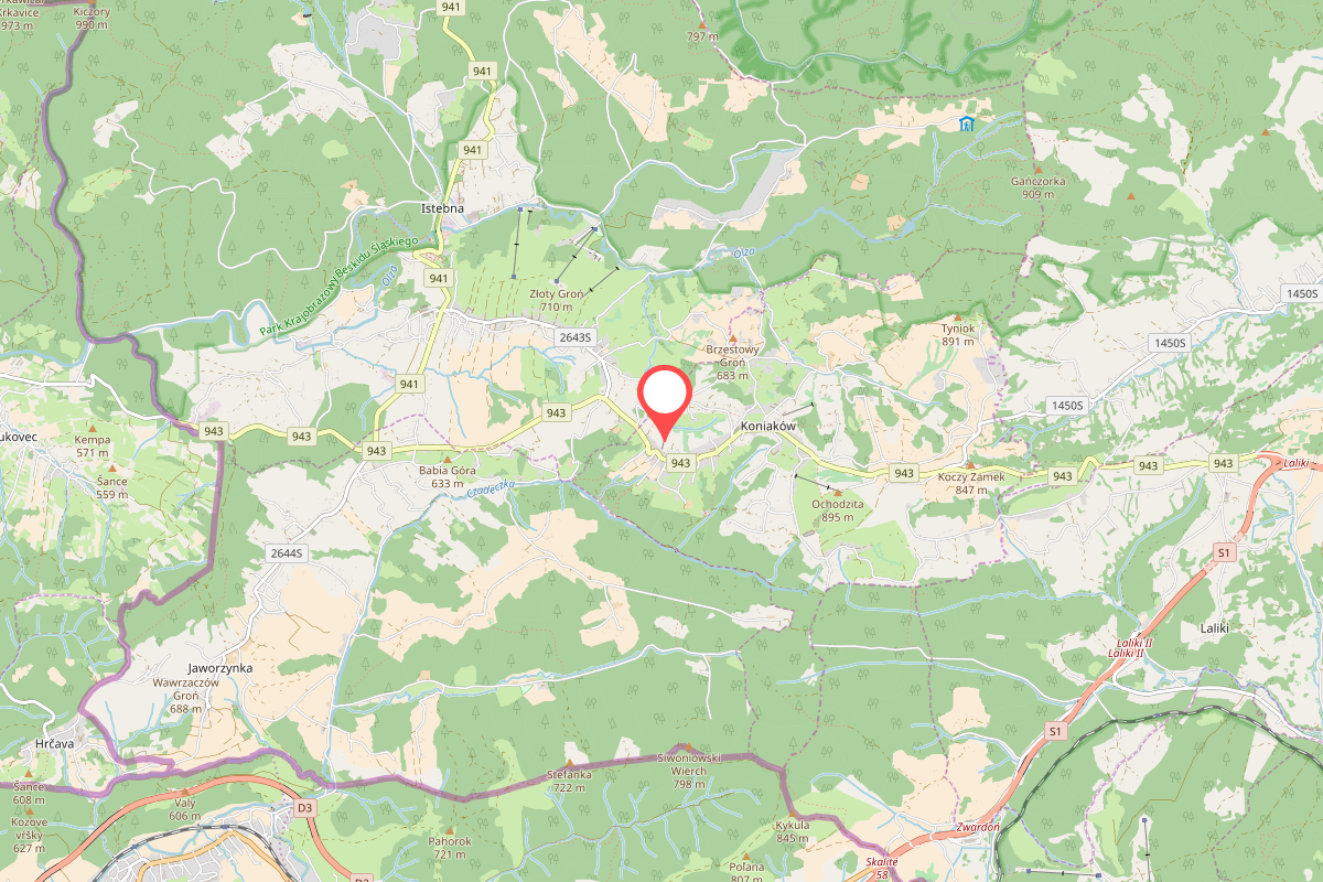 Wyciąg Szus Koniaków: cennik, trasy, warunki narciarskie, kamera ...