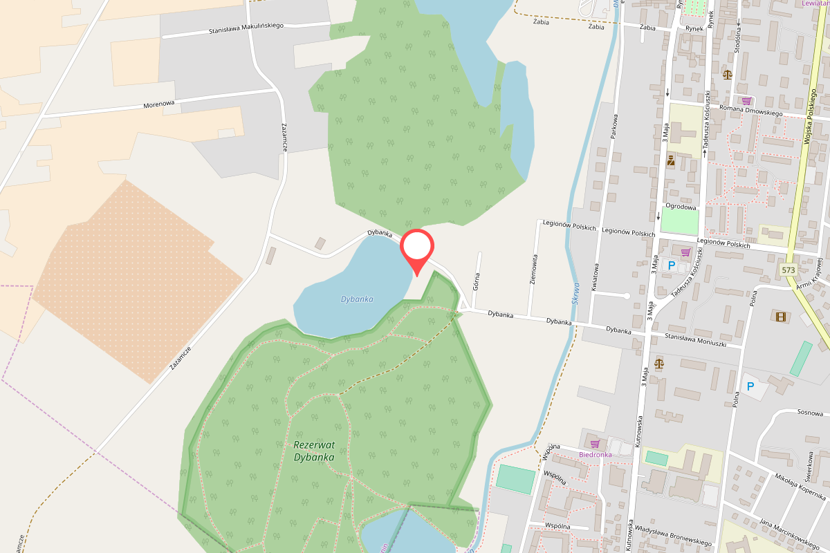 Plaża Dybanka w Gostyninie nad Jeziorem Bratoszewo Gostynin: kamera ...