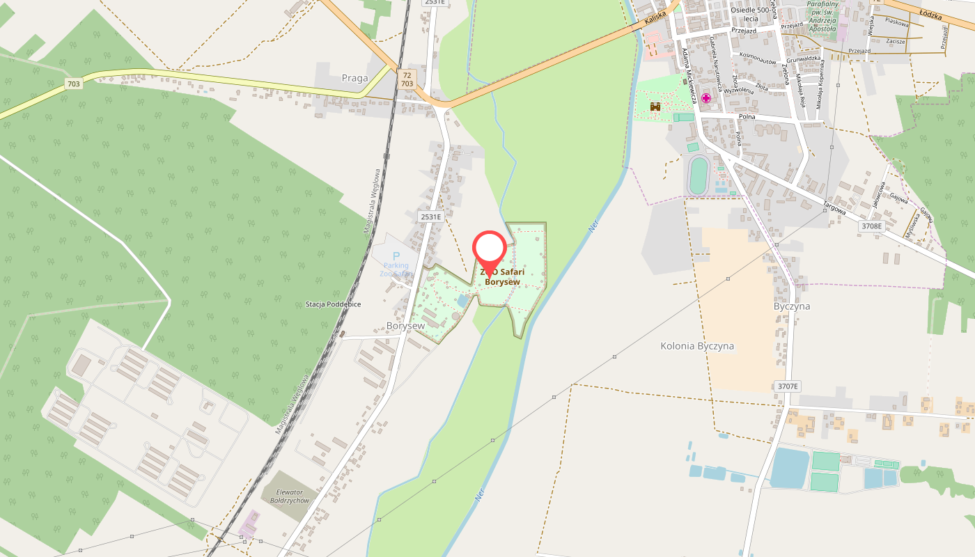 ZOO SAFARI BORYSEW Borysew: cennik, bilety, godziny otwarcia, dojazd