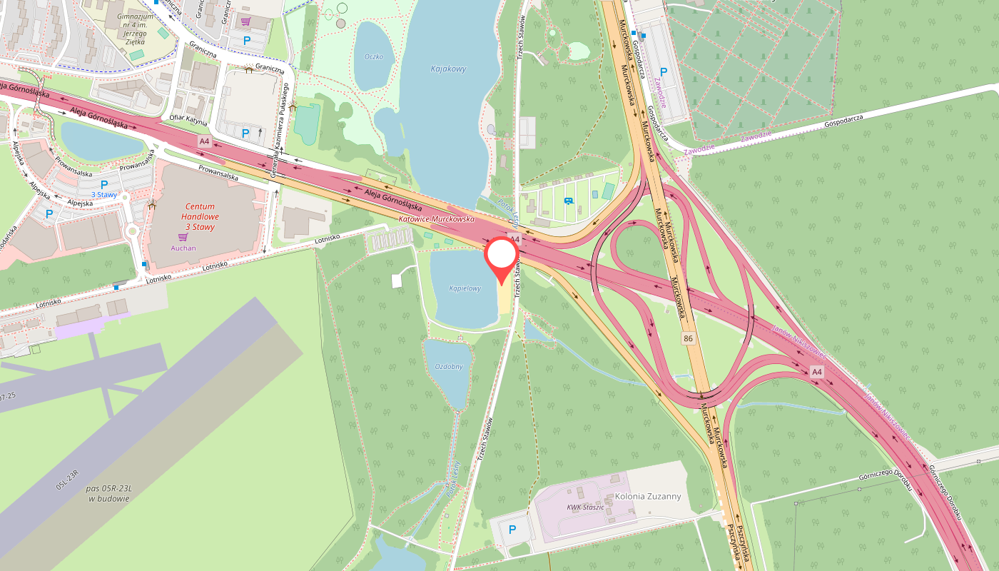 Plaża w Katowicach w Dolinie Trzech Stawów Katowice: kamera, opinie