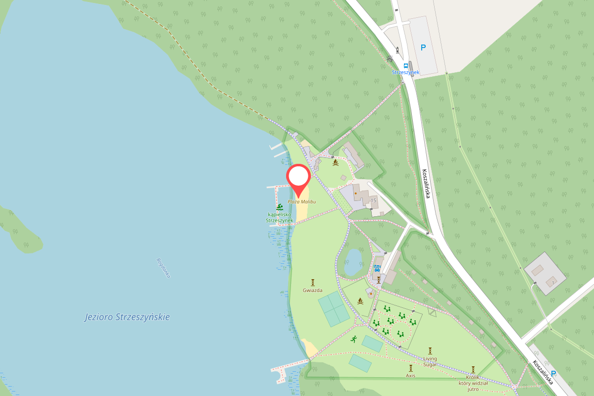 Plaża Miejska Strzeszynek Poznań: kamera, opinie - Nocowanie.pl