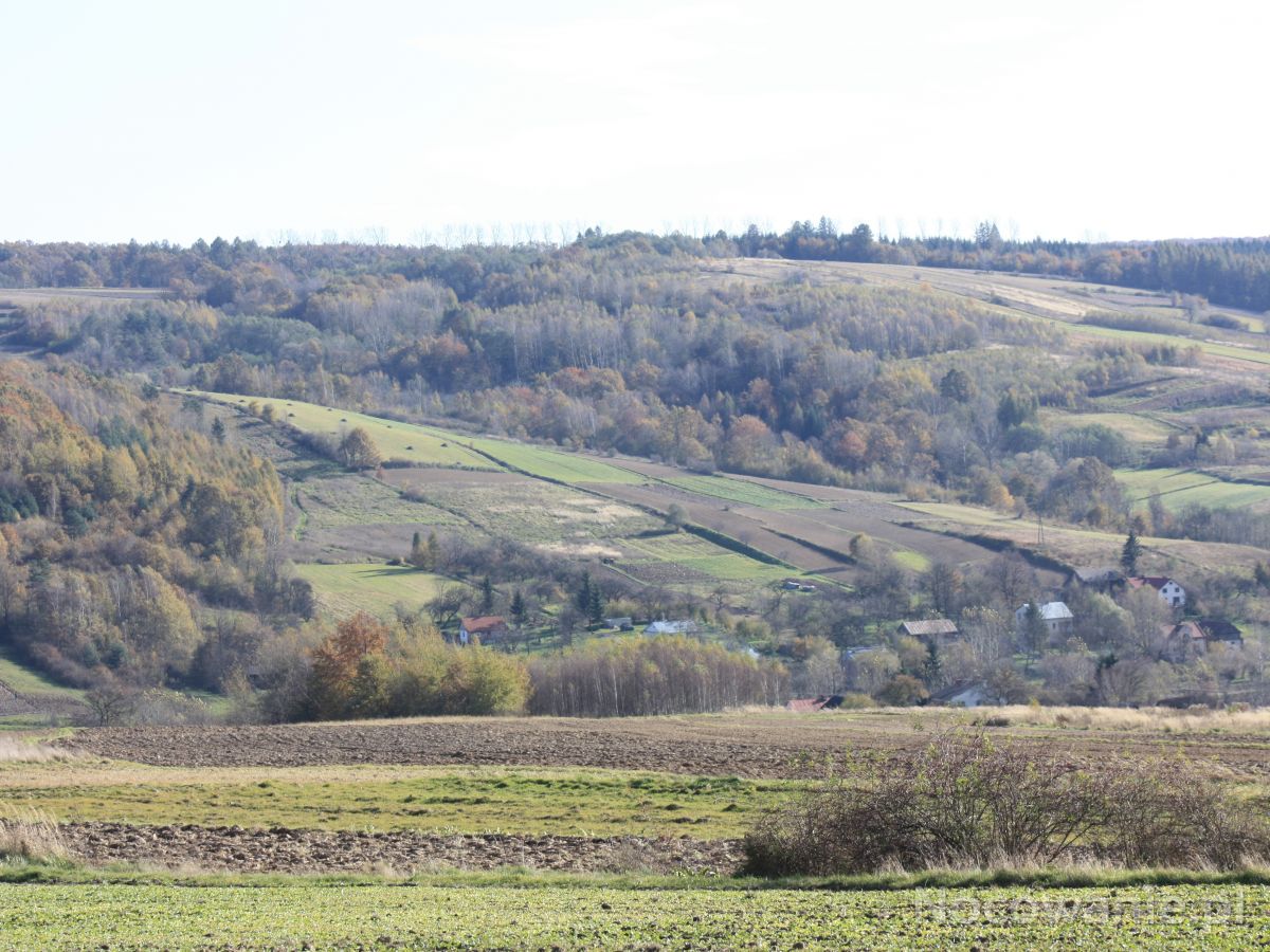 zdjecie Węgierka, Węgierka, zdjęcia