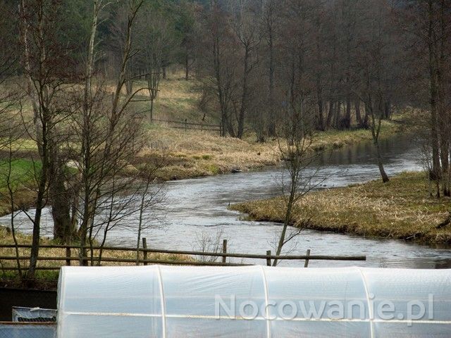 Rzeka Wda, stan wody raczej wysoki, Czarna Woda, zdjęcia