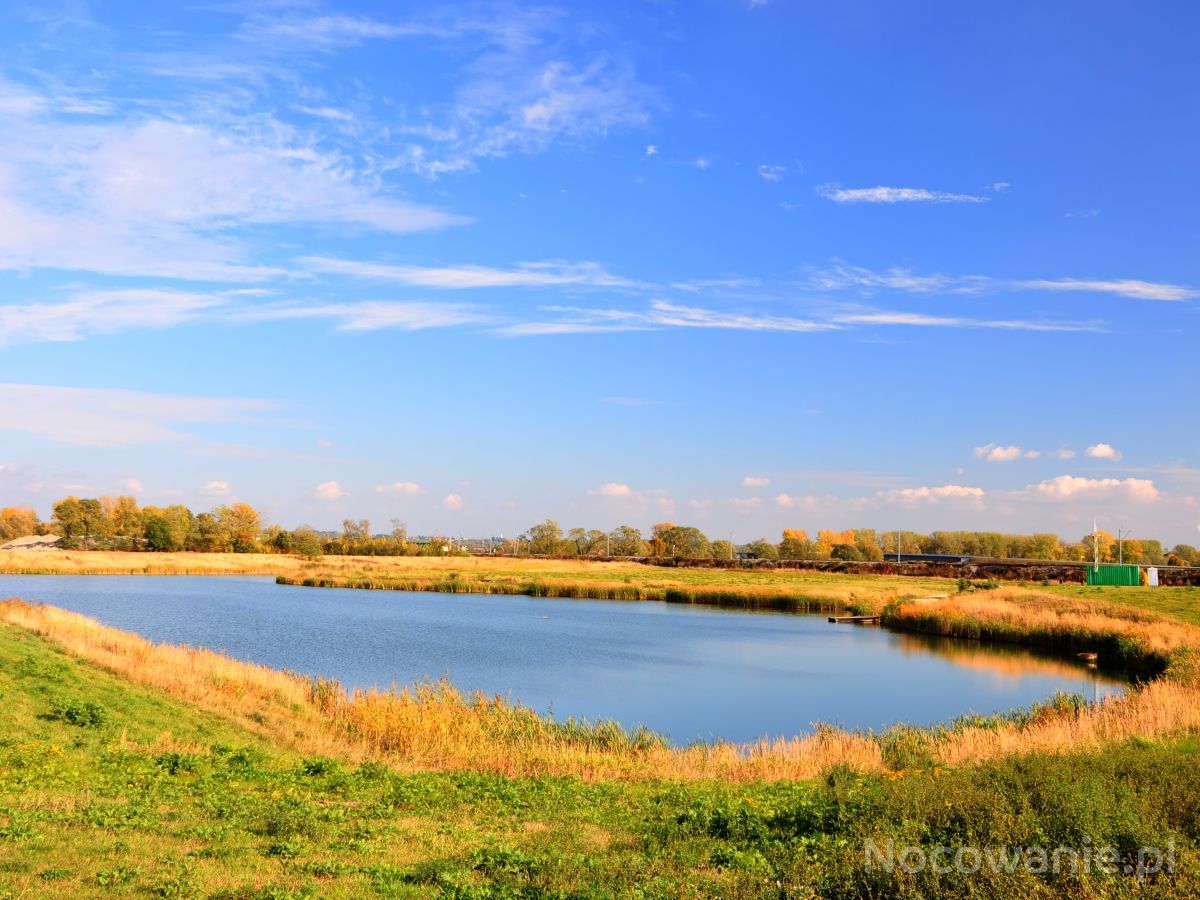 zdjecie Olza, Olza, zdjęcia
